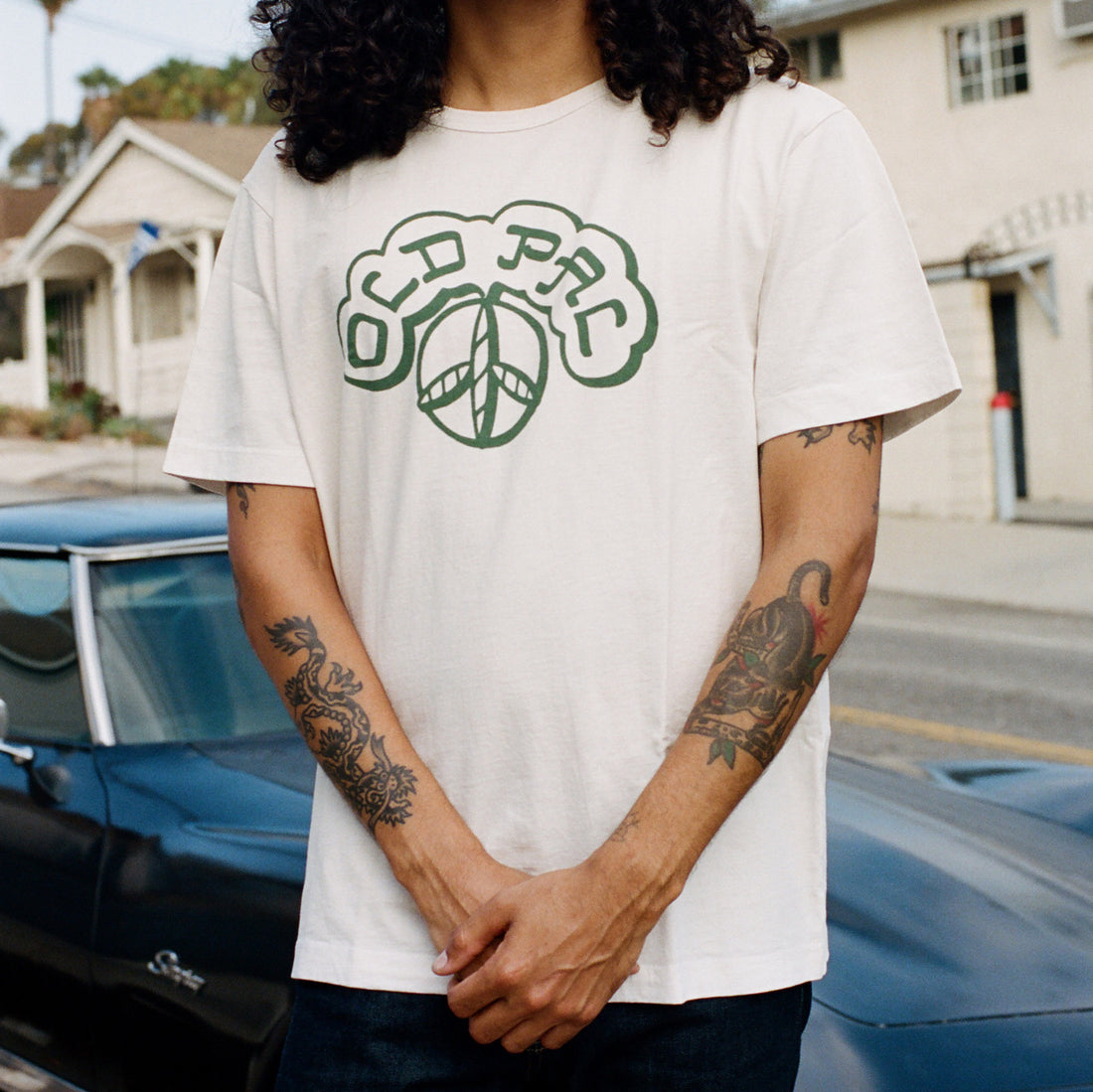 All - Old Pal Provisions